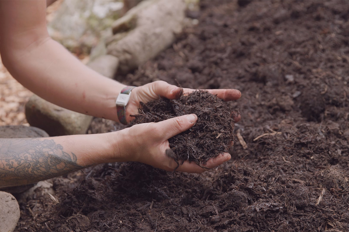 Building Soil: Compost, Fertilizers, and Cover Crops – Videos – Mother ...